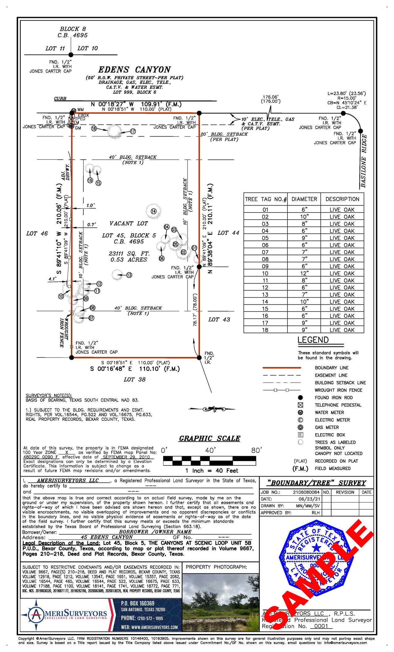 Tree Survey